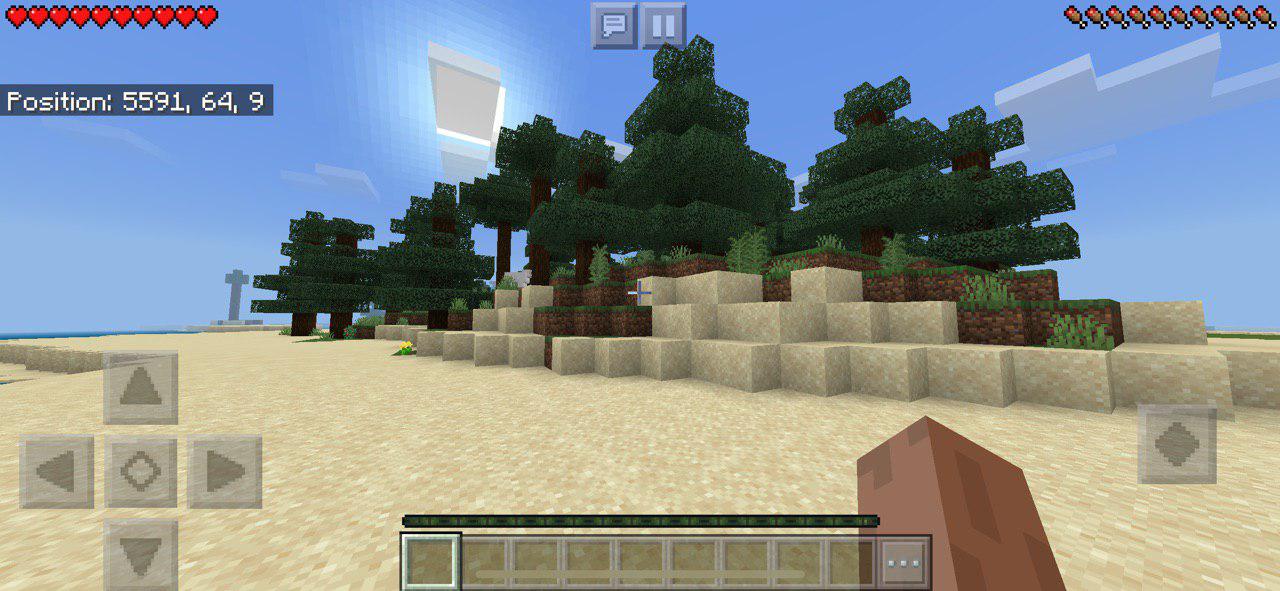 Show Coordinates Bedrock Edition Exaroton Support
